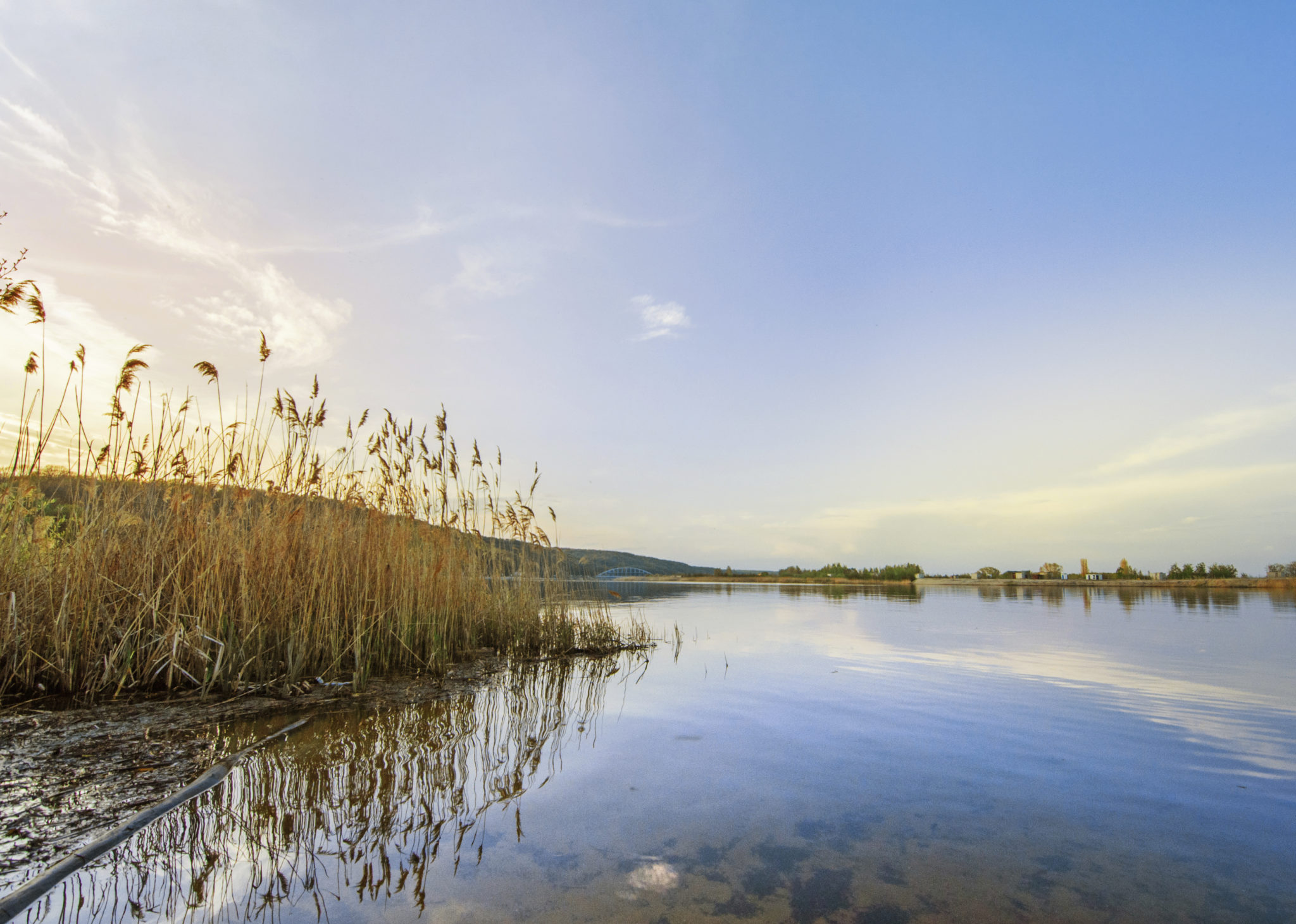 Fort McKay Sustainability Activity Report - Fort McKay First Nation